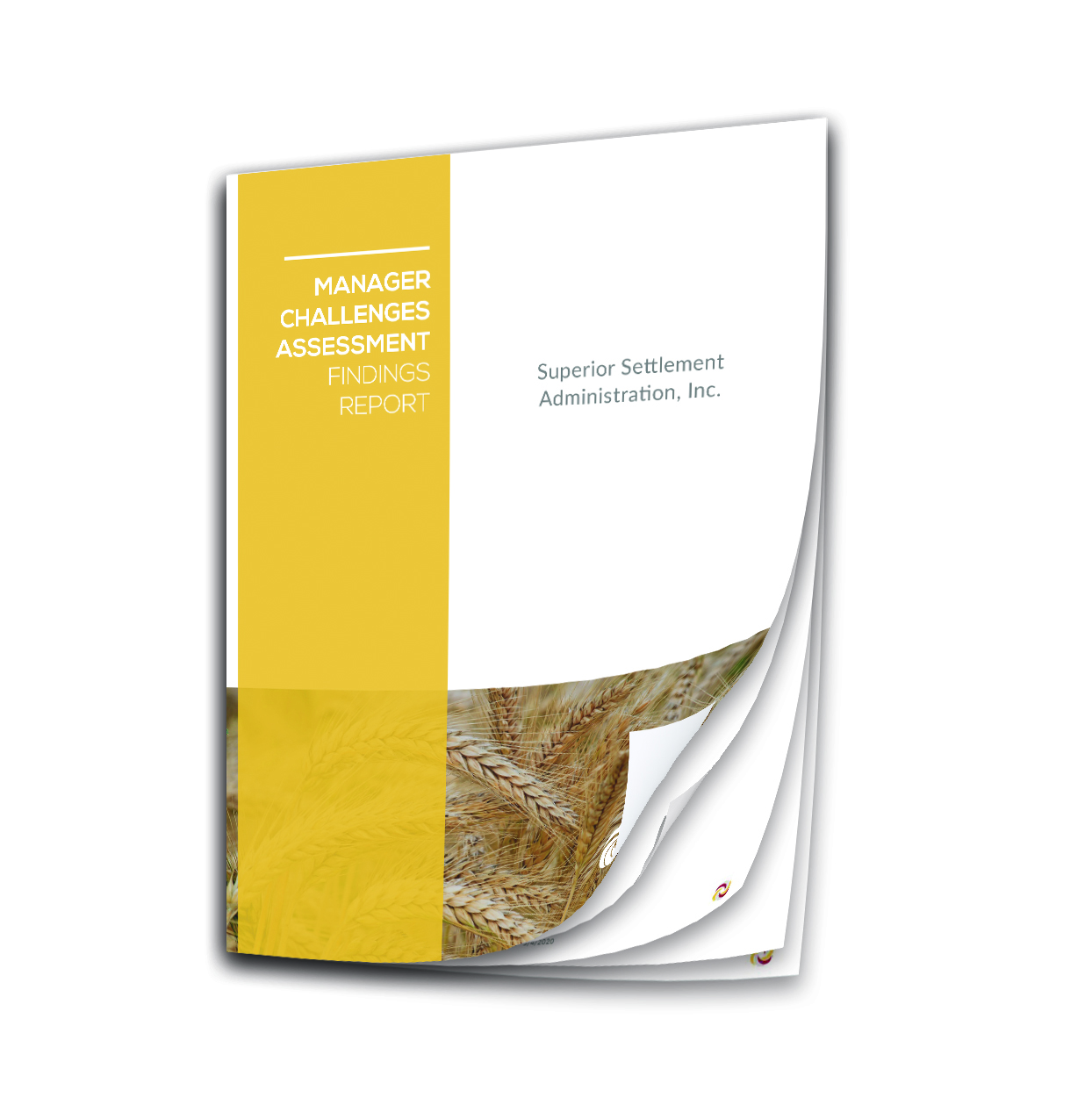 The Management Challenges Assessment - Projectivity Solutions